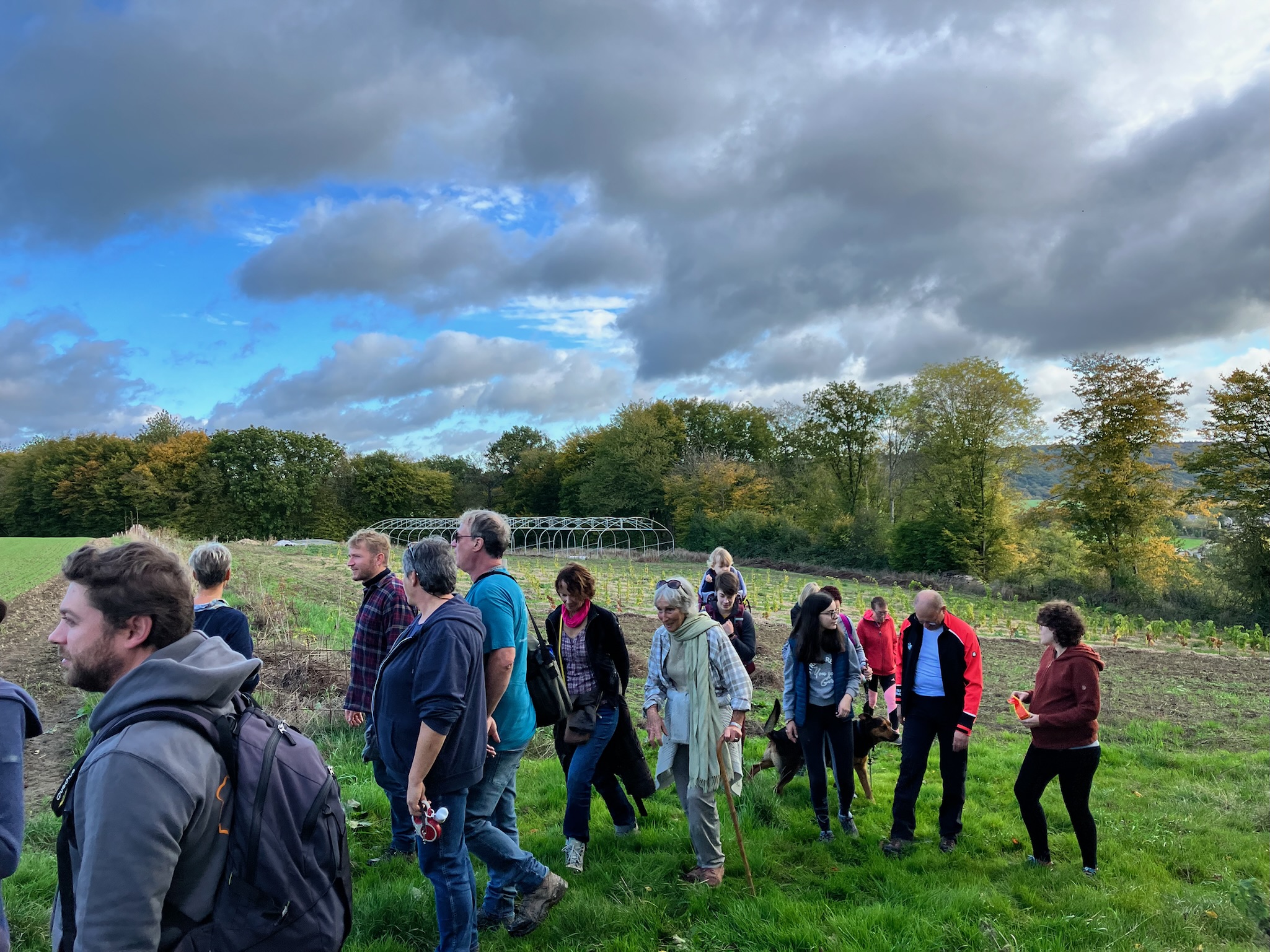 Promenade au fil de Rivière - Ecolo Profondeville